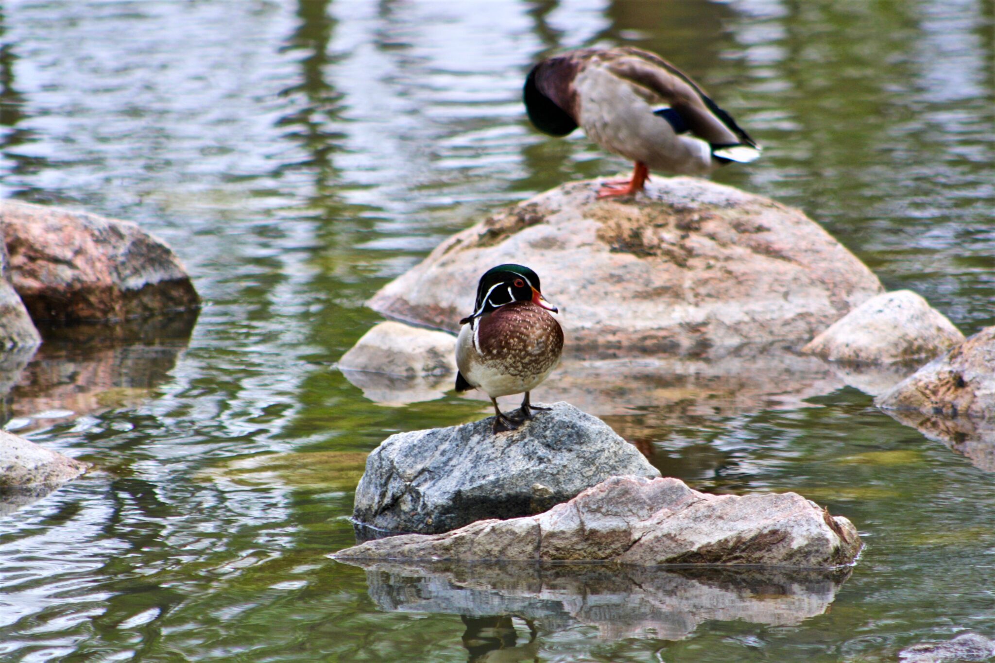 WASCANA CULTURAL TRAILWAY